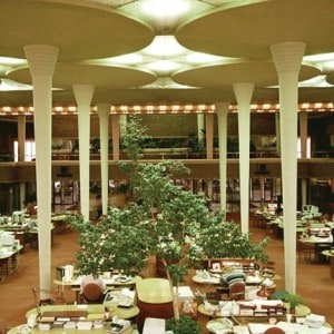 Organic Architecture and Modern Workspace Design - Instant Offices Blog