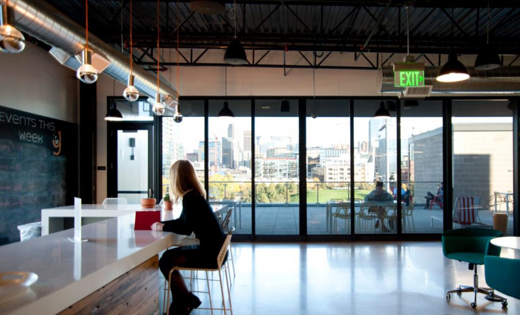 Dog-Friendly Office Space in America | Take Your Dog to Work - Instant ...