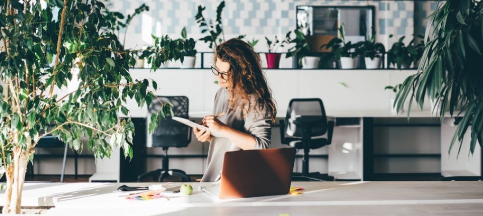 Experts reveal how plants really benefit office design