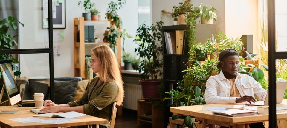 Experts reveal how plants really benefit office design